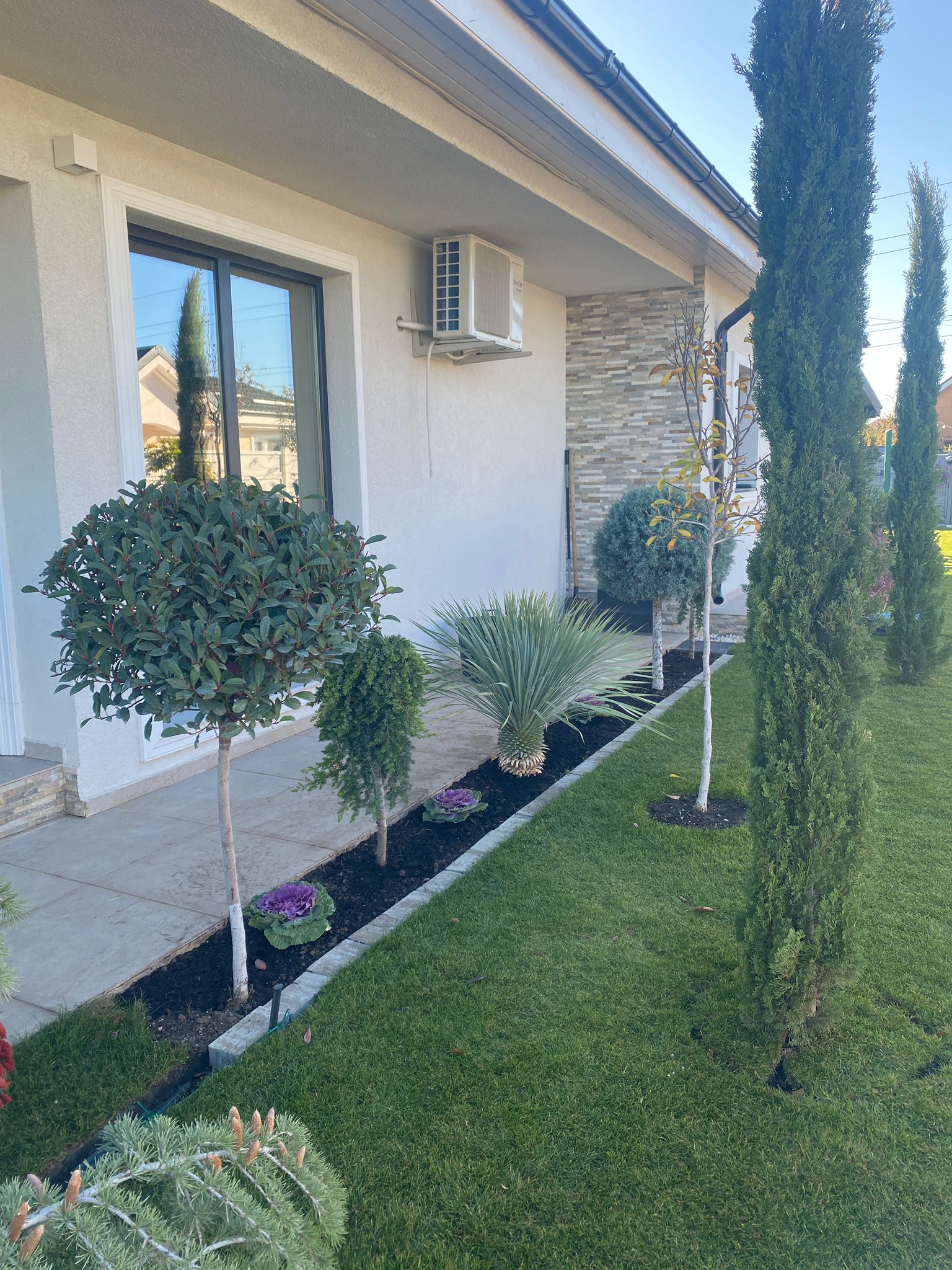 amenajari gradini craiova - Lumea Plantelor